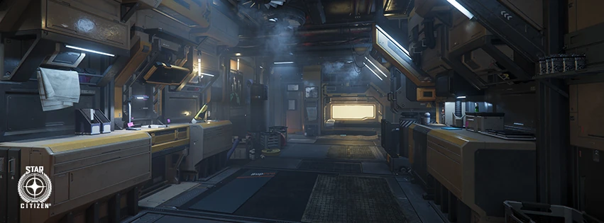 Understanding and Using Ship Shields